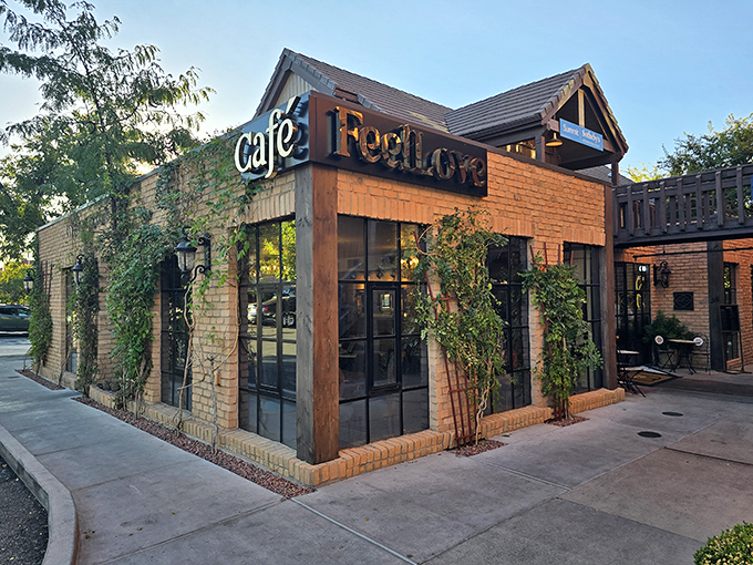 Cafe Feellove wraps you in greenery and good vibes. The ivy-covered exterior hints at the fresh ingredients waiting inside.