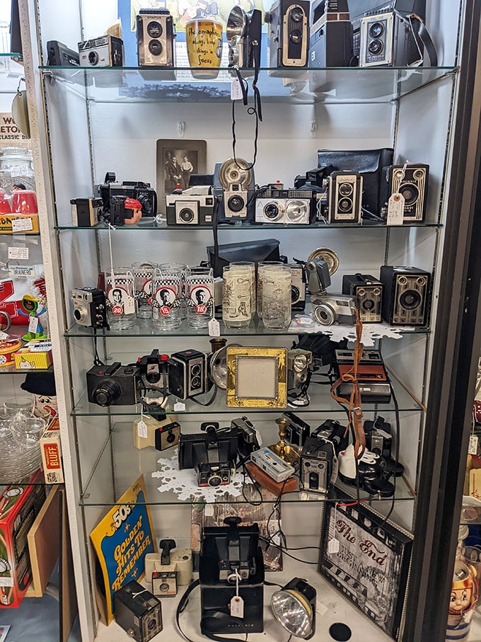 A shrine to photography's evolution that would make Ansel Adams reach for his wallet. Each camera captured someone's memories before becoming a memory itself.