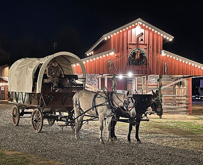 Step back in time at Cartwright Grove, where horse-drawn wagons remind visitors of simpler days. Evening events here offer entertainment value that big-city venues can't match at triple the price.