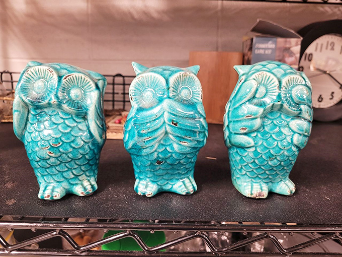 The three wise owls of turquoise ceramic fame. They've seen it all from someone's 1970s mantel and are ready for your bookshelf renaissance.