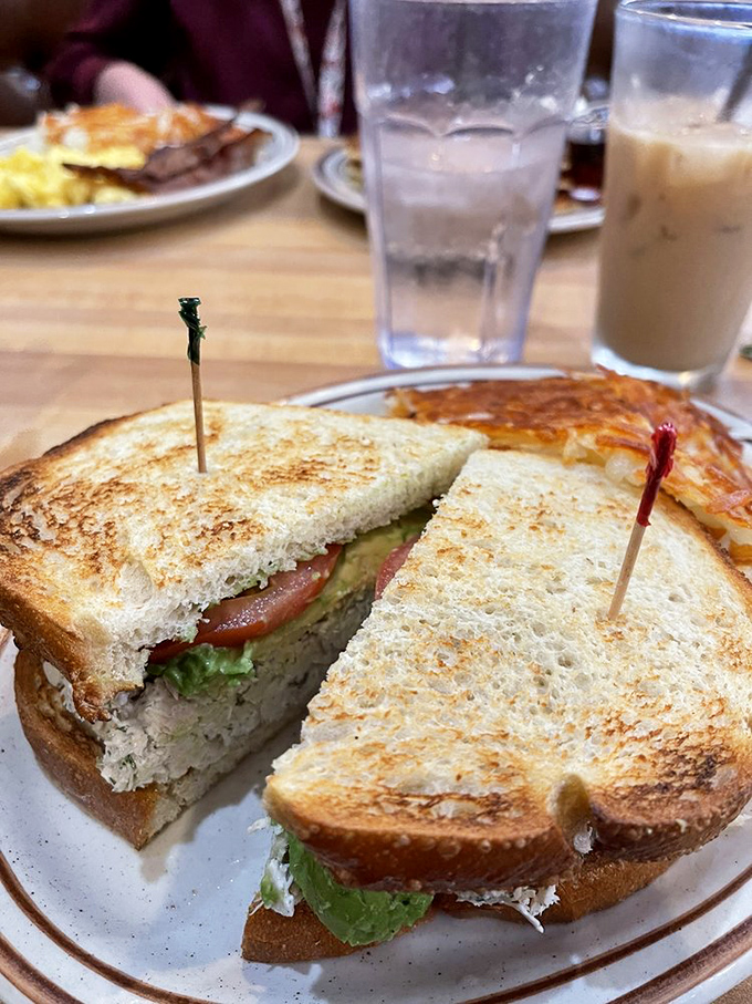 A sandwich that understands the assignment: perfectly toasted bread, generous filling, and those little toothpicks that somehow make everything taste better.