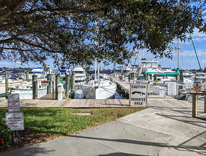Caution: Manatee Area signs remind visitors that the marina's most distinguished residents don't pay docking fees. Gentle giants with waterfront property. 