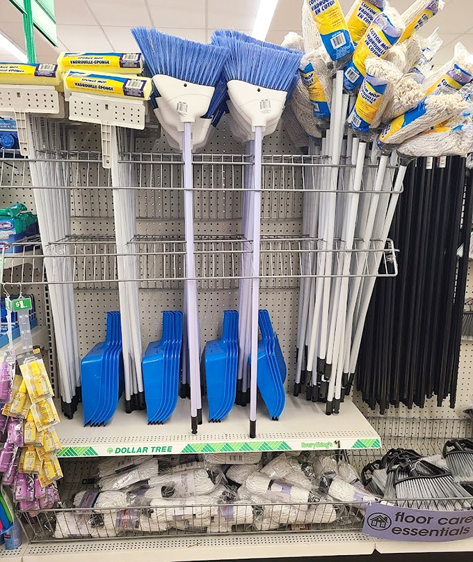 Cleaning supplies so organized, Marie Kondo would probably shop here for the sheer joy of it.