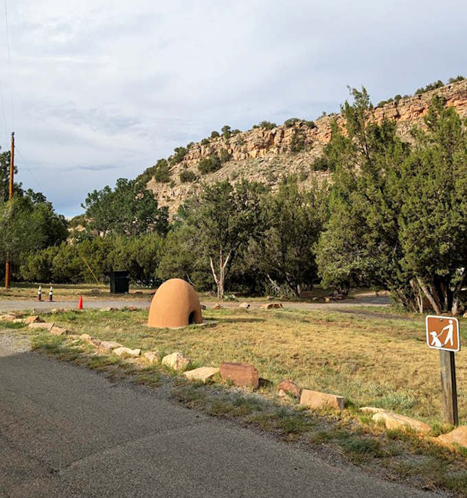 A natural cathedral of trees frames the path ahead. Walking through here feels like entering nature's version of Notre Dame, minus the tourists with selfie sticks.
