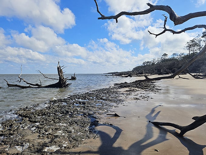 Driftwood shadows create nature's sundial on the shore. Each piece tells the story of the island's ongoing romance with the Atlantic.