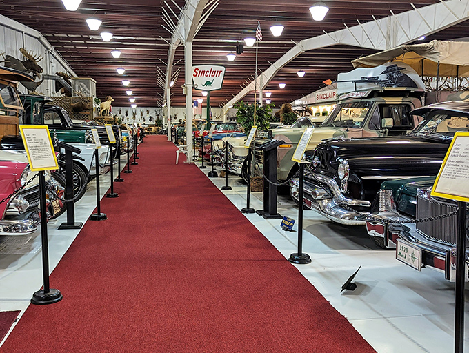 Classic cars line up like mechanical time capsules, each with a story to tell about American innovation and the open road.