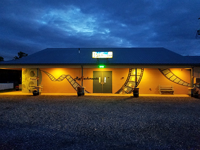 The concession stand glows like a beacon in the night, promising those perfectly imperfect movie snacks that taste better outdoors.