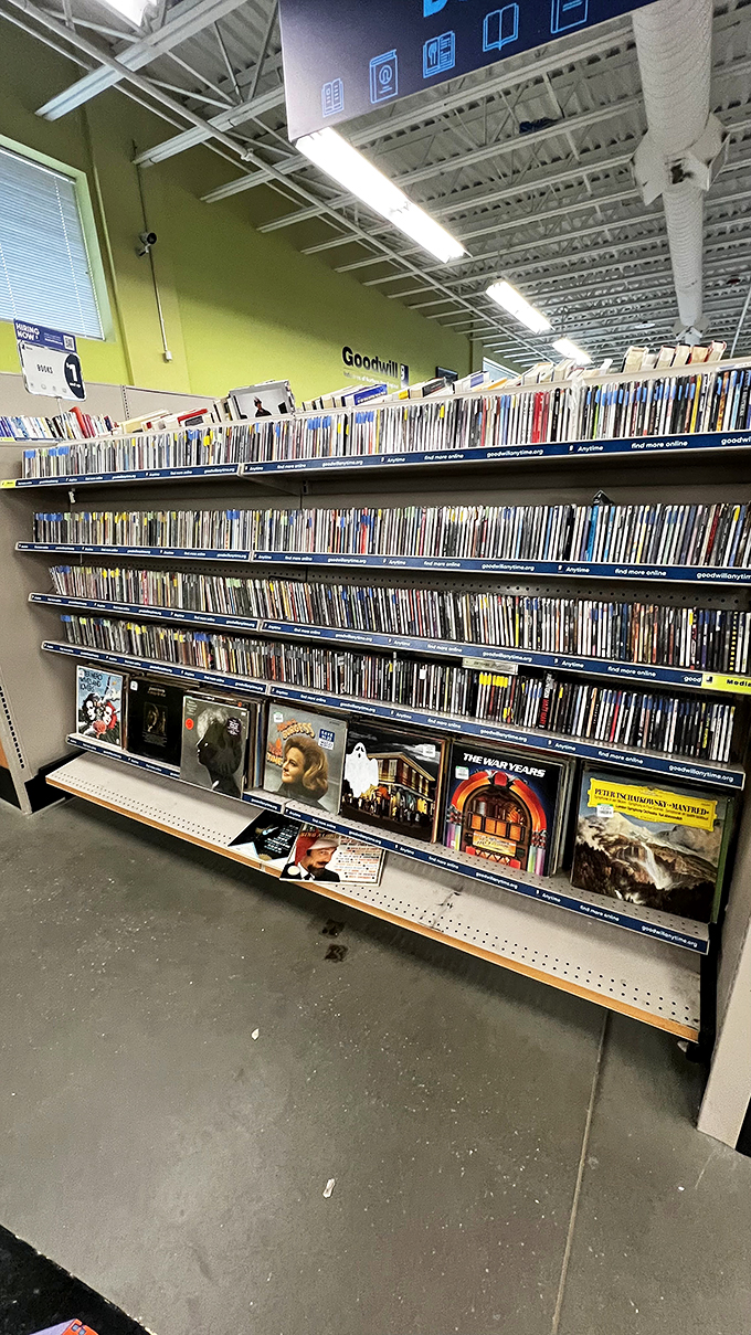 A media lover's dream wall, where forgotten films and series wait for their second act in someone's home theater collection.
