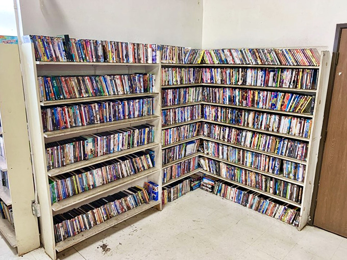 DVD paradise that laughs in the face of streaming services. Physical media collectors, prepare to lose track of time and fill those empty shelves.