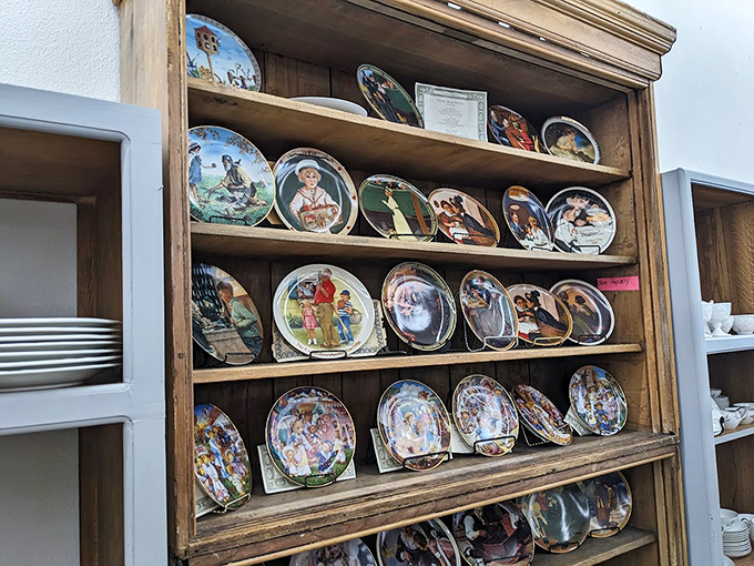 Decorative plates tell stories of bygone eras, each one a circular snapshot of someone's taste, preserved for your dining room wall.