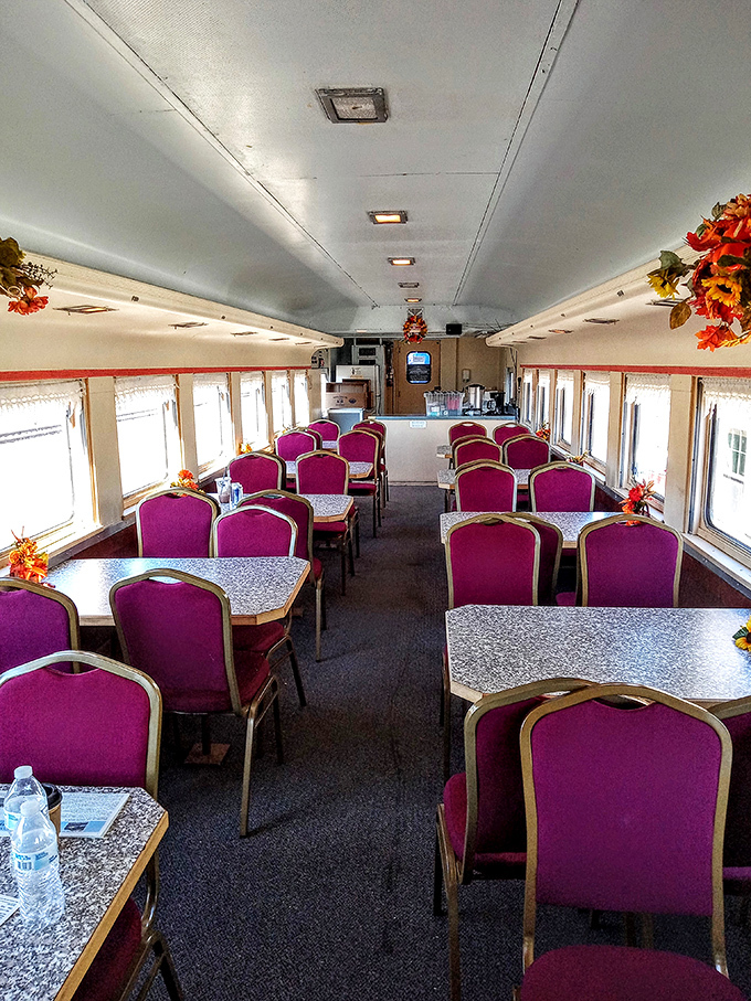 The dining car, where meals come with million-dollar views and zero reservation fees from Mother Nature.