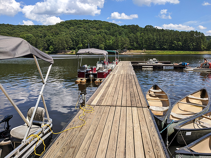 Dock of dreams—where boats wait patiently like eager puppies, ready to take you on adventures across Lake Hope's shimmering surface.