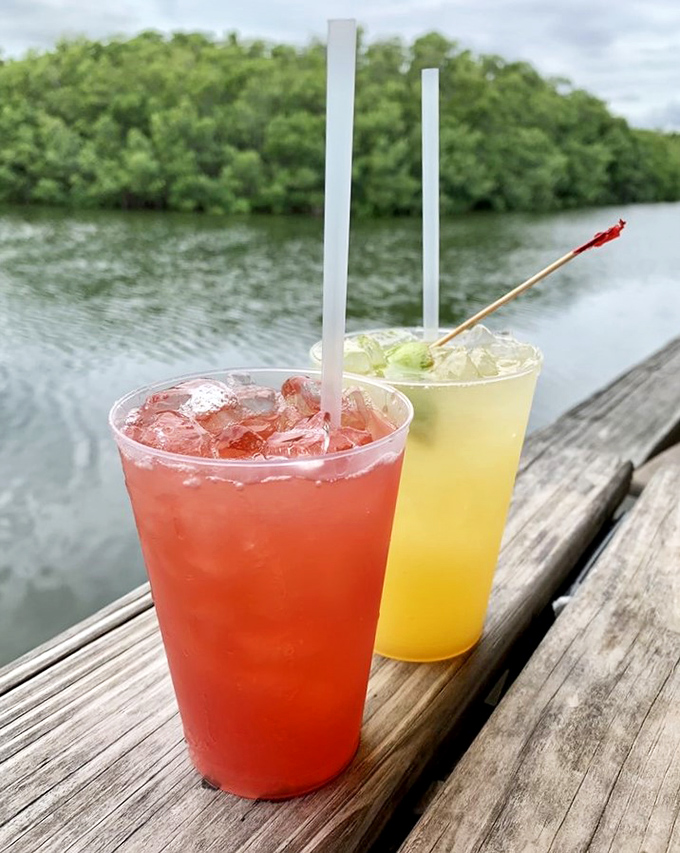 Colorful cocktails overlooking the mangroves, proving that paradise comes with a straw and excellent views.