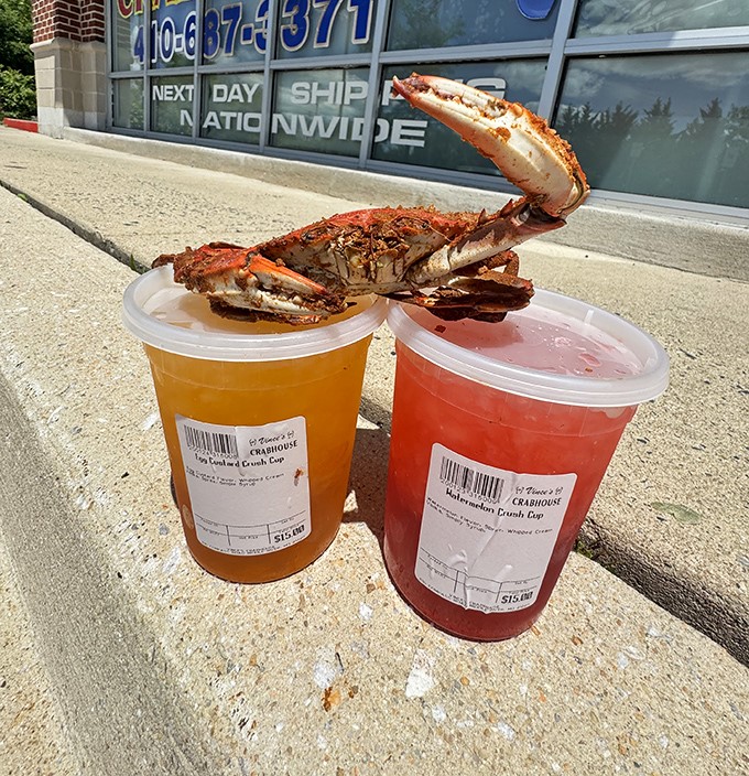 Nothing says "authentic Maryland experience" like enjoying steamed crabs with drinks in plastic cups on the sidewalk. Napkins? You'll need twenty.