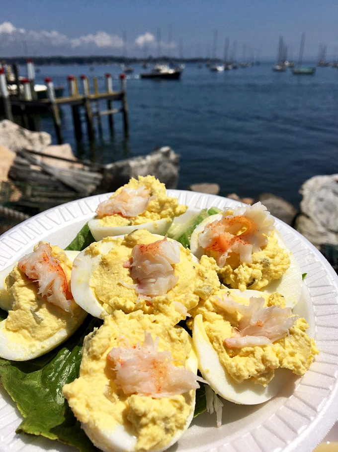 Deviled eggs elevated to maritime royalty with perfect shrimp crowns. The kind of appetizer that disappears before anyone remembers to take a photo.