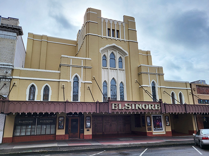 The Elsinore Theatre's Gothic Revival glamour makes every show feel like opening night at Downton Abbey.