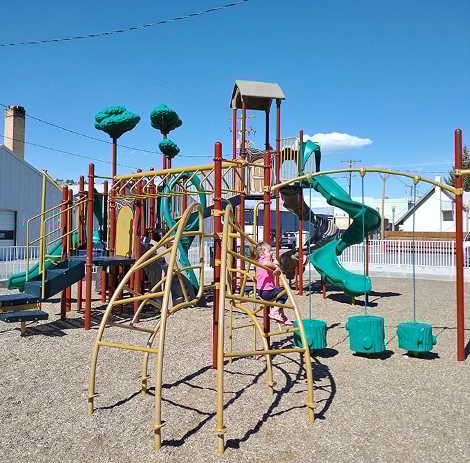 Community playgrounds offer kids old-fashioned fun powered by imagination instead of batteries, touchscreens, or parental anxiety about screen time.