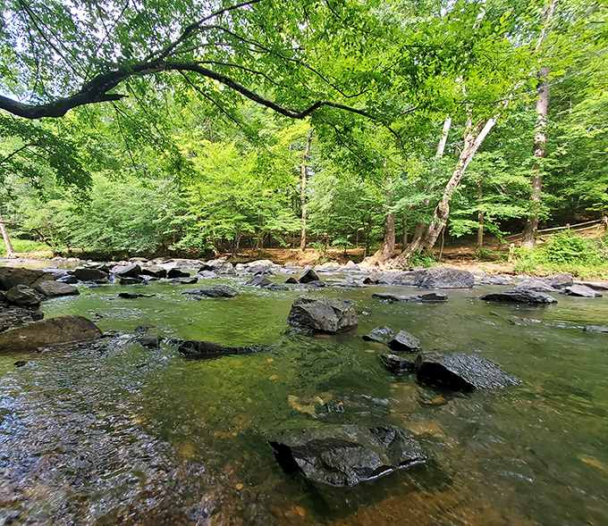 The Eno River doesn't rush&mdash;it ambles, creating peaceful pools and gentle currents that invite contemplation and the occasional brave toe-dip.