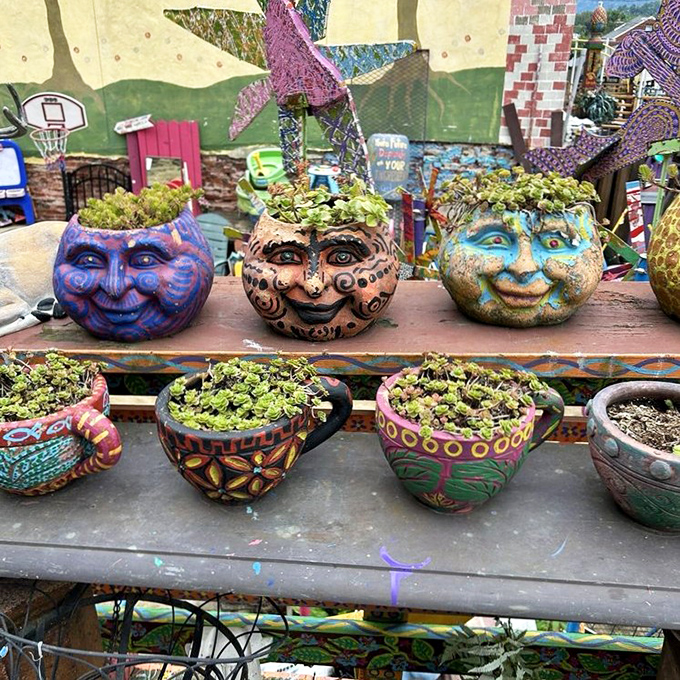 These face planters aren't just containers&mdash;they're characters in Randyland's ongoing story, each with personality sprouting from their heads.
