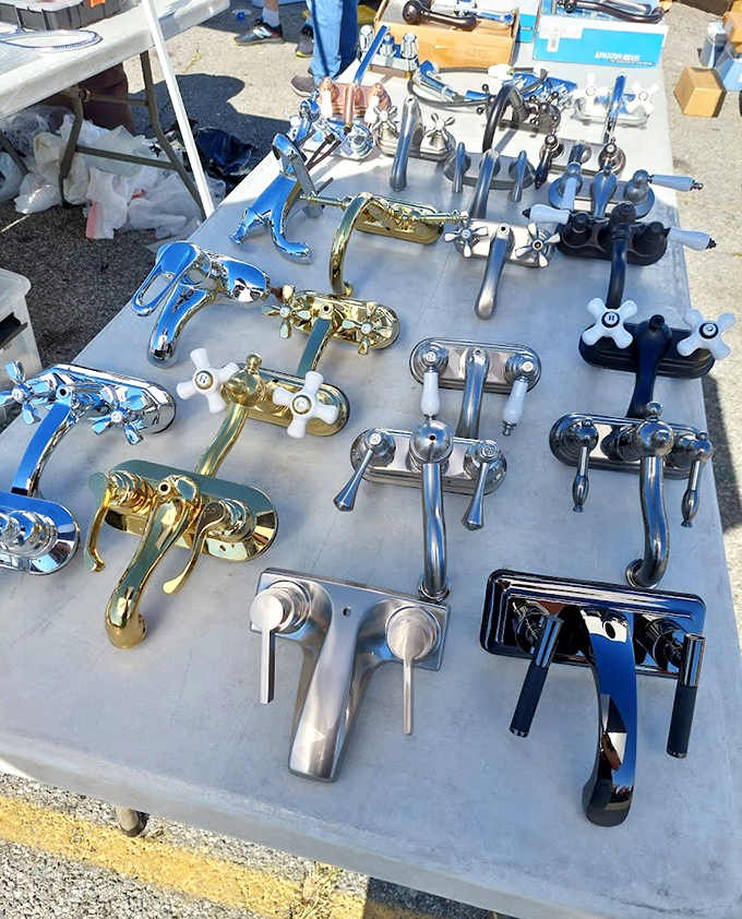 Bathroom fixtures that gleam in the California sun. Transform your shower experience from mundane to magnificent with these shiny new faucets.