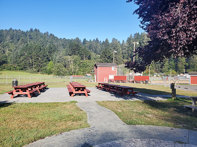 Picnic tables waiting patiently for the next family gathering. In Ferndale, even the simplest outdoor spaces feel like they're part of a Norman Rockwell painting come to life.