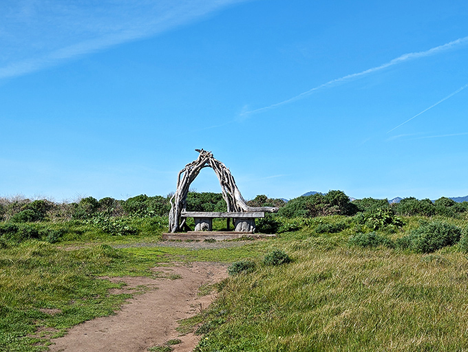 At Fiscalini Ranch Preserve, someone thoughtfully crafted this driftwood arch bench&mdash;nature's perfect frame for contemplating life's big questions.