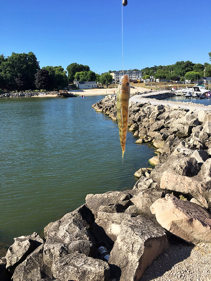 "Catch of the day" takes on literal meaning along Marblehead's rocky breakwaters, where fishing isn't just a hobby&mdash;it's a way of life.