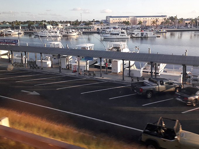 These fishing boats aren't just vessels—they're floating restaurants-in-waiting, bringing the ocean's bounty to your plate within hours of capture.