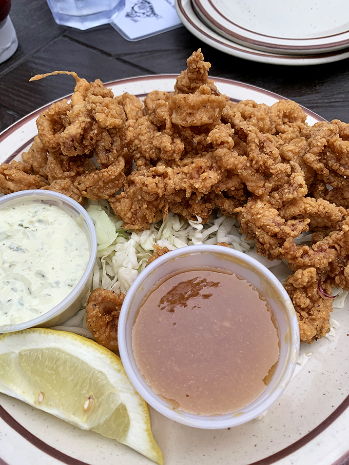 Fried clams: the ocean's popcorn. This mountain of golden-fried goodness proves that sometimes more is exactly the right amount.