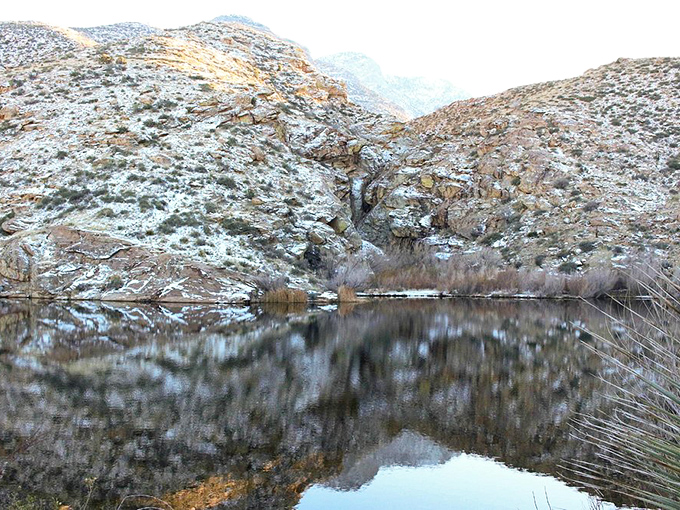 Winter paints Frye Mesa Reservoir with a delicate dusting of snow, turning this hidden fishing spot into Arizona's version of a mountain lake postcard.