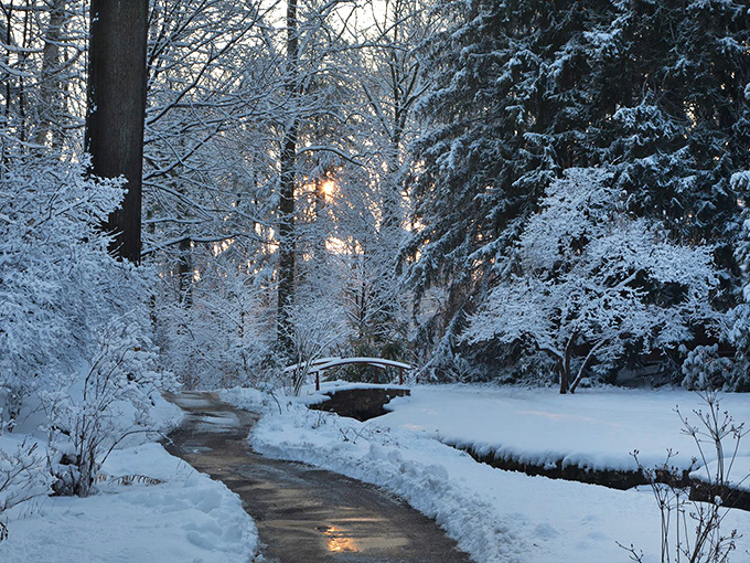 Even winter can't diminish this garden's charm &ndash; it just switches from technicolor to sophisticated noir.