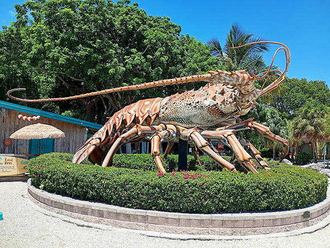 Standing tall against the blue Florida sky, this lobster has photobombed more family vacation pictures than that uncle who always jumps in at the last second.