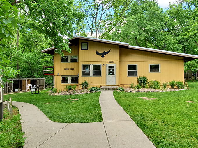 The Glen Helen Raptor Center gives injured birds of prey a second chance. That silhouette of a hawk above the door? Not just decoration&mdash;it's a mission.
