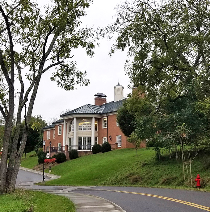 Stately brick and columns house literary treasures at the library, where community and knowledge have shared space for generations.