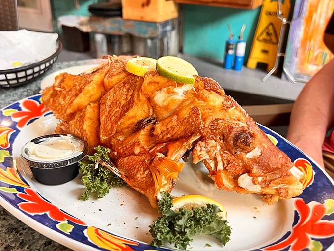Golden-fried hogfish that practically winks at you from the plate, adorned with citrus wheels and served with a dipping sauce worth bottling and taking home.