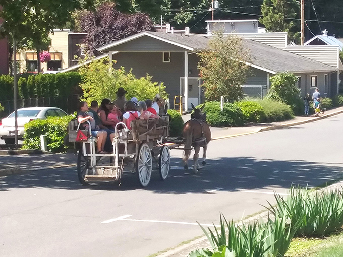 Nothing says "small-town magic" quite like a horse-drawn carriage clip-clopping down a quiet street. Time slows down in the best possible way.