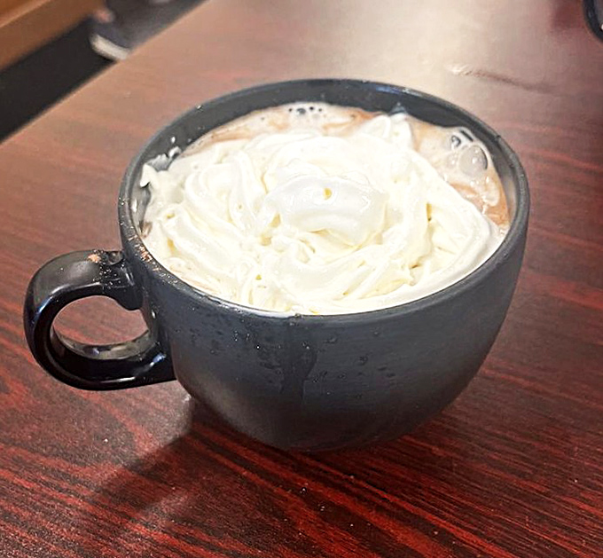 Hot chocolate topped with a cloud of whipped cream so perfect it deserves its own weather system. Winter blues, meet your match.