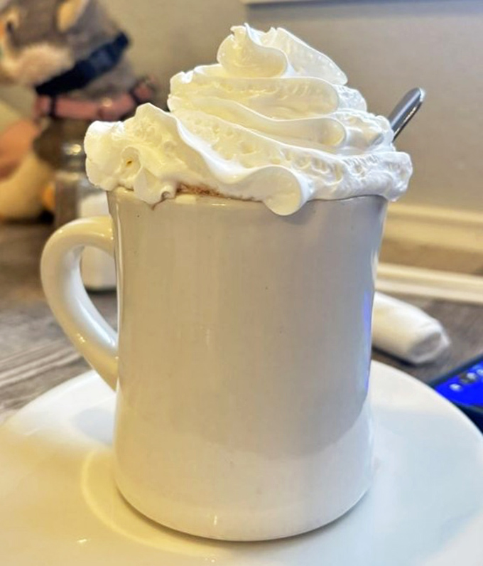 Hot chocolate that doesn't come from a packet? Revolutionary! That whipped cream mountain deserves its own zip code.