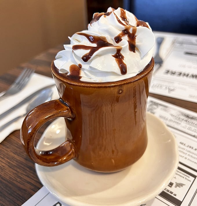 Hot chocolate that understands the assignment. That whipped cream mountain with chocolate drizzle isn't just a drink &ndash; it's a hug in a mug.