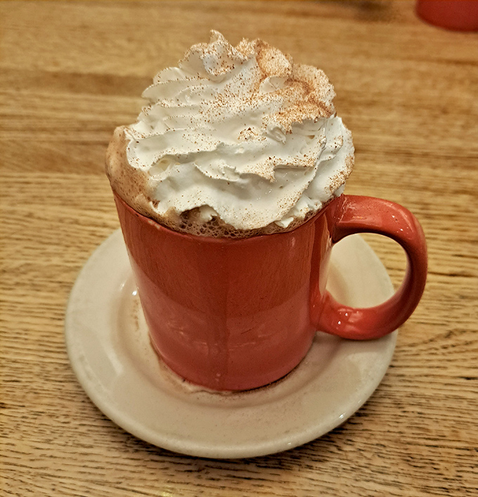 Hot cocoa that doesn't just warm your hands but hugs your soul. That whipped cream mountain deserves its own hiking trail.