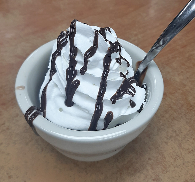 A simple sundae becomes a work of art with chocolate drizzle. Sometimes happiness really is just whipped cream and chocolate sauce in a bowl.