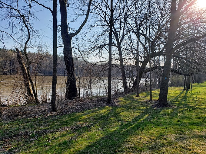 Autumn transforms the park into a postcard factory, proving that Ohio's fall colors deserve the same respect as Vermont's, thank you very much.