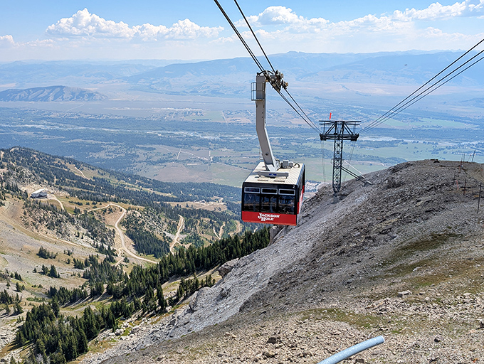 The aerial tram climbs over 4,000 vertical feet, offering views that justify every white-knuckled moment of ascent.