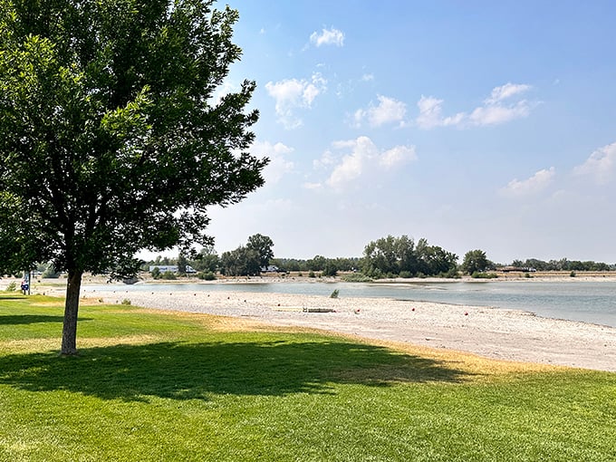 Jensen Grove Park's beach, where summer memories cost nothing but sunscreen and a good attitude.