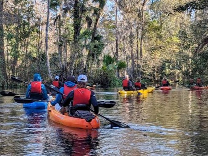 Paddle your way through nature's own theme ride. These kayakers are experiencing Florida as Ponce de Le&oacute;n might have&mdash;but with better sunscreen.
