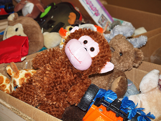 Every stuffed animal here is auditioning for a second act in a child's imagination. This monkey might be the star.