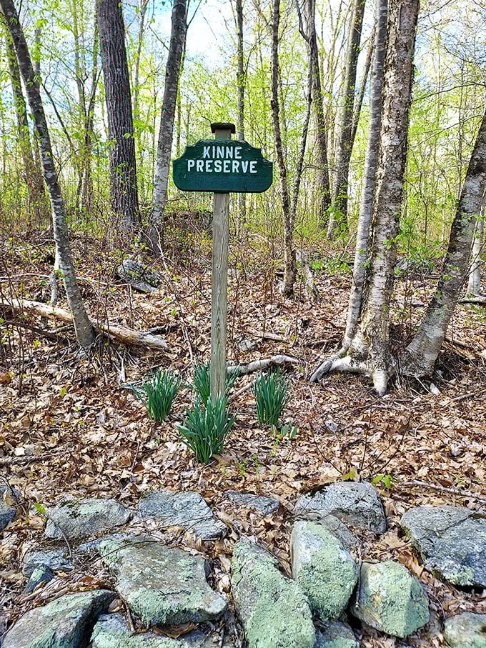 Kinne Preserve's wooden sign promises adventures that won't drain your retirement fund. The best entertainment in town doesn't require a password or cover charge.