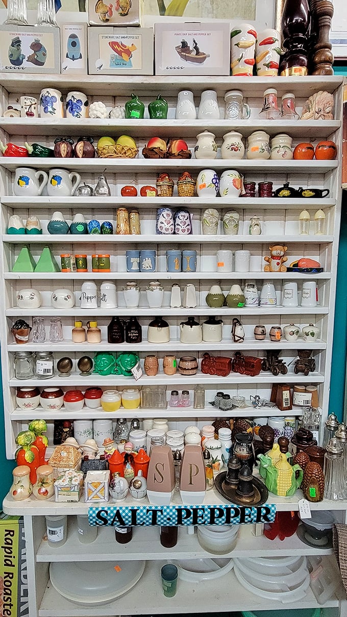 Salt and pepper shakers as far as the eye can see&mdash;proof that even the most practical kitchen items can become whimsical collectibles.