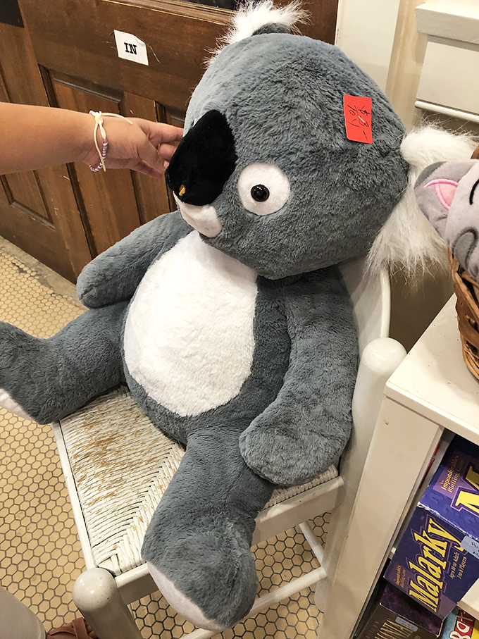 Just looking for a home! This plush koala with its hopeful expression represents the charm of the toy section, where childhood memories await rebirth.