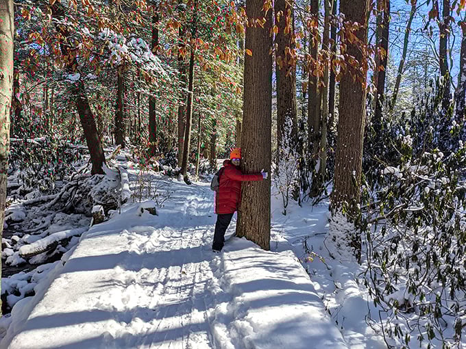 Winter turns Kooser into a cross-country skiing paradise where the biggest challenge is remembering to actually move forward.